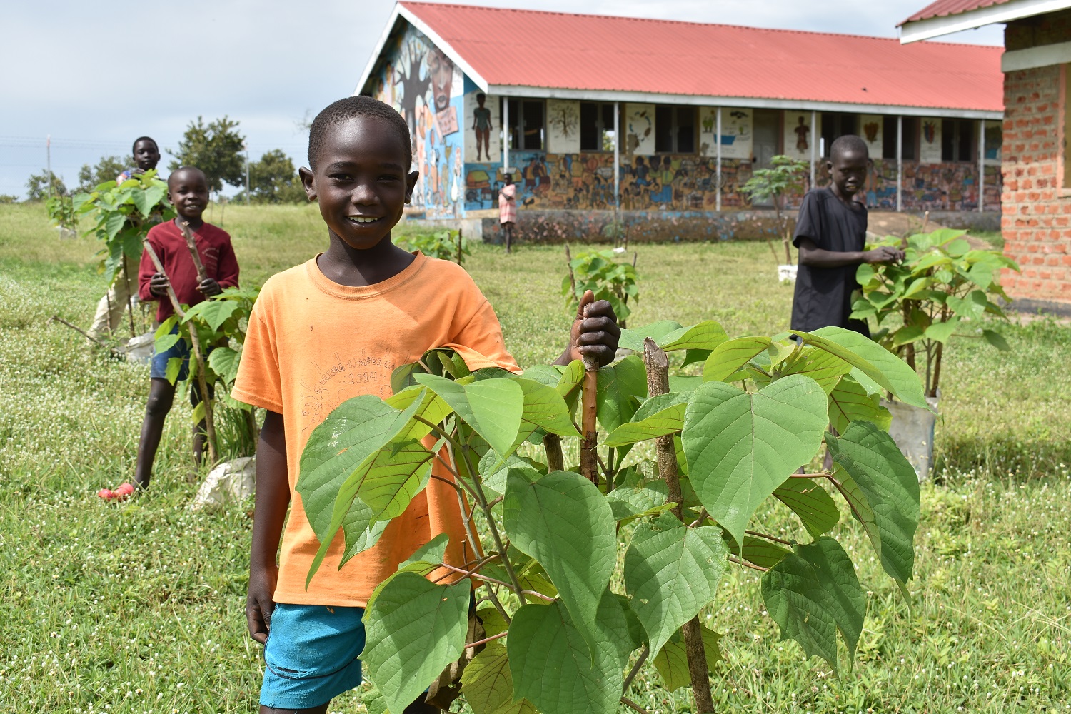 Community Tree Growing in Bidi Bidi Refugee Settlement - HYT Uganda
